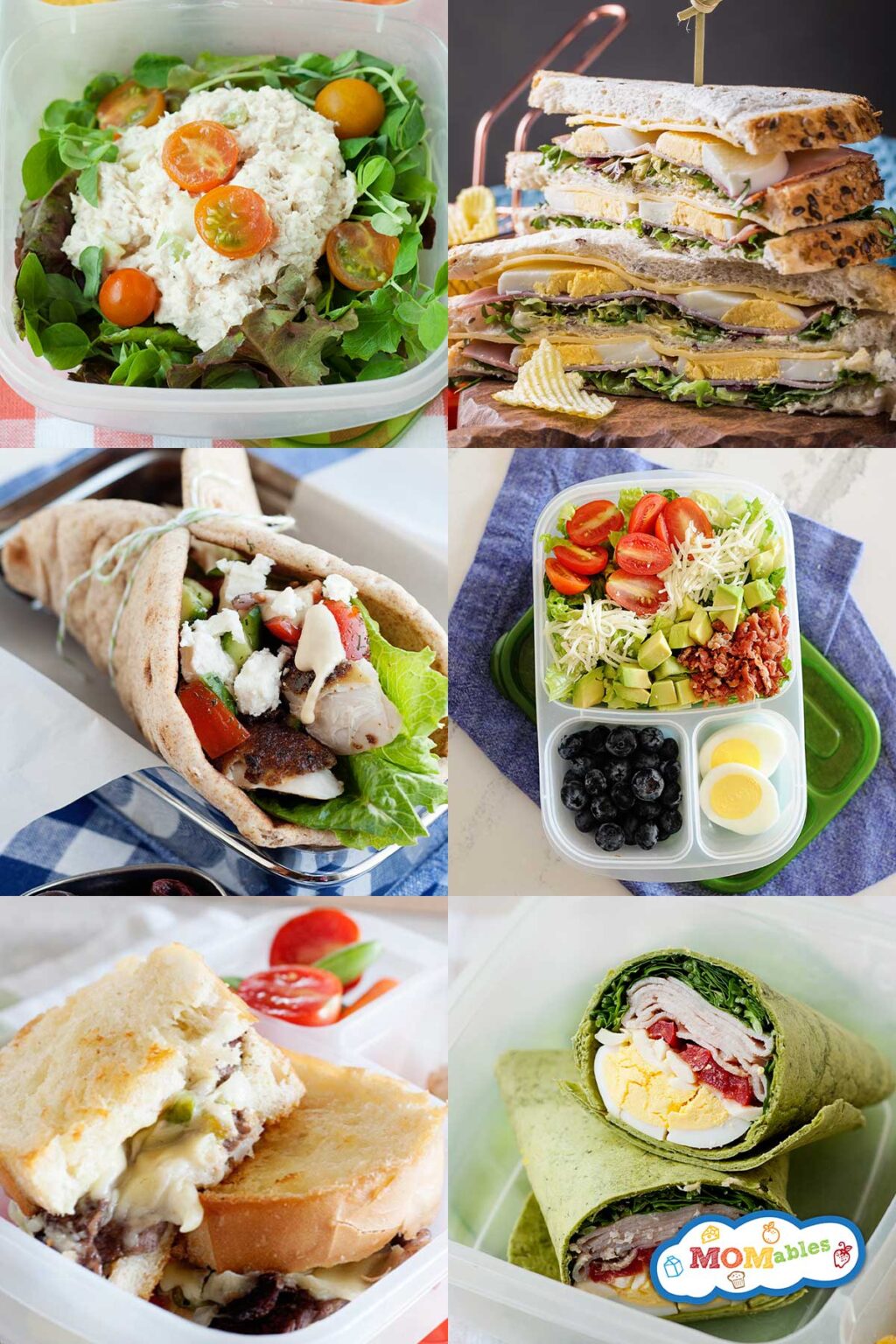 Healthy School Lunch Ideas for Teens- MOMables