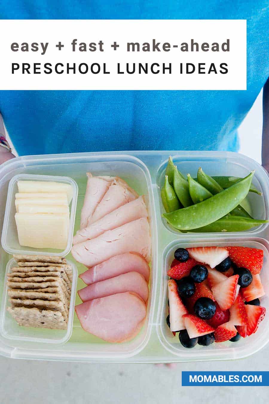 Healthy Preschool Lunch Ideas For Picky Eaters MOMables healthy-preschool-lunch-ideas-for-picky-eaters-momables