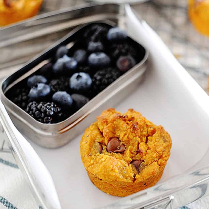 Healthy Muffins for Kids with Added Protein | MOMables
