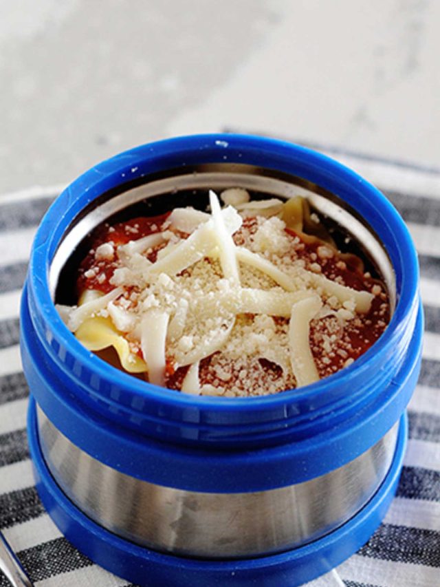 How Long Does a Thermos Keep Food Hot? Comparison | MOMables