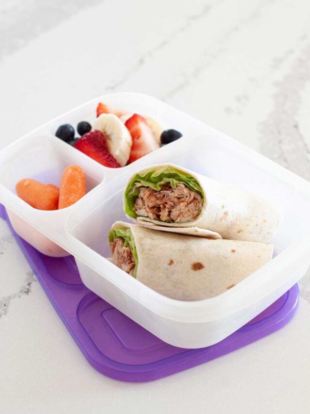 How to Pack Fresh Lunches | MOMables Lunch Ideas & Tips
