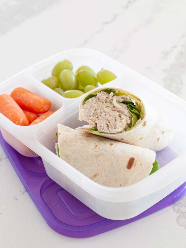 How to Pack Fresh Lunches | MOMables Lunch Ideas & Tips