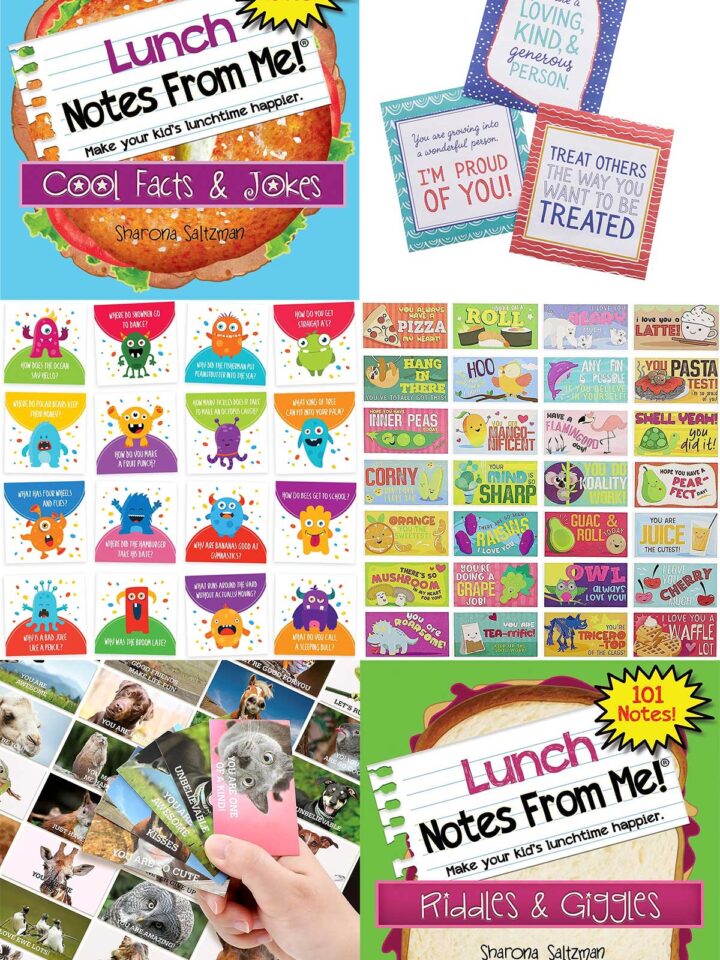 School Lunch Containers & Supplies | MOMables