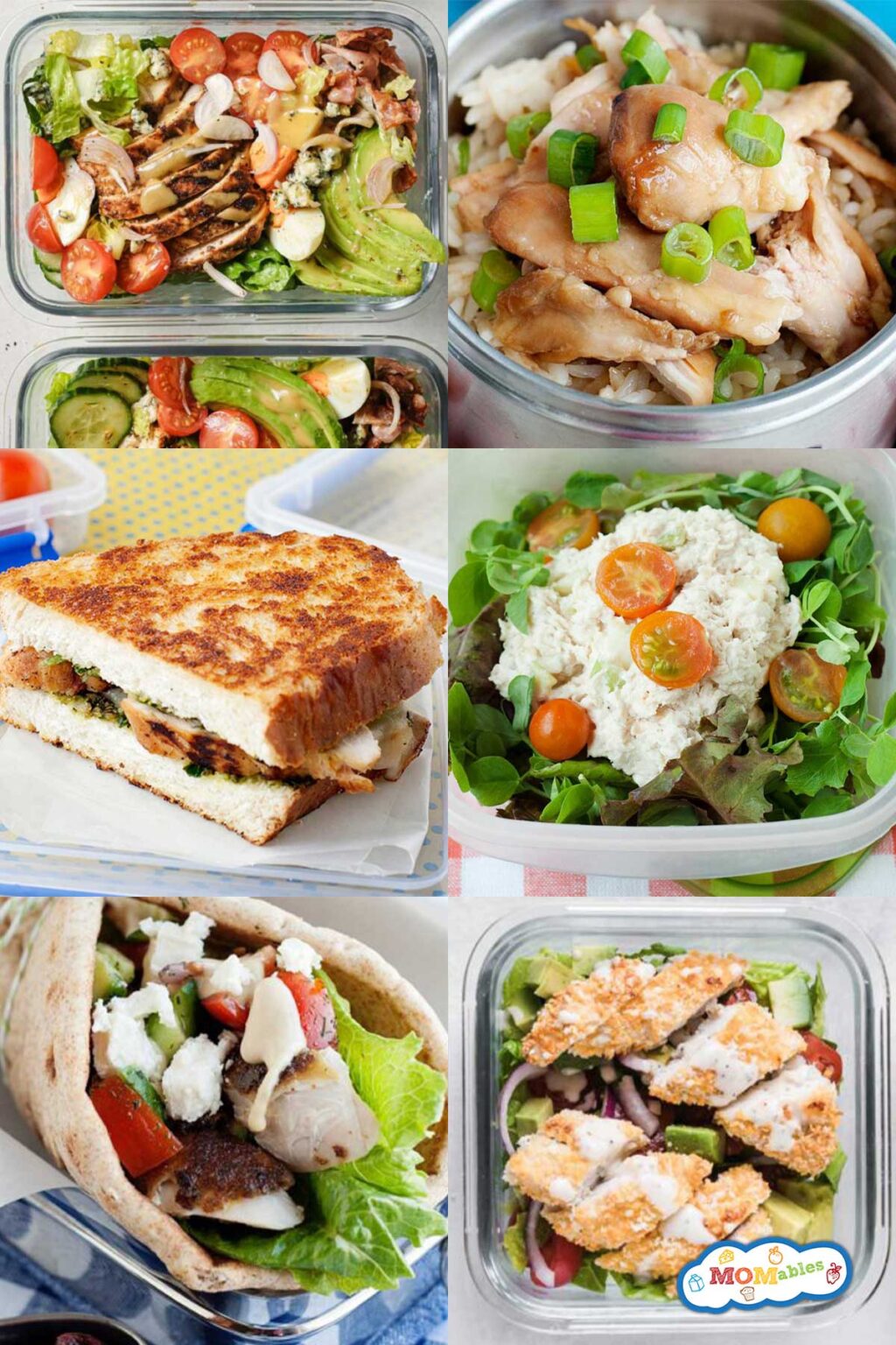 Chicken Lunch Ideas for School | MOMables