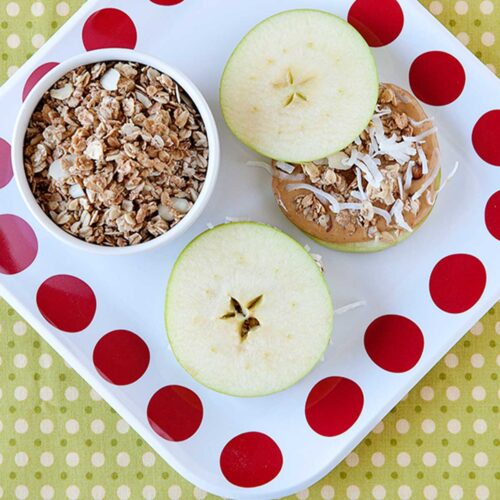 Healthy After School Snack Ideas for kids