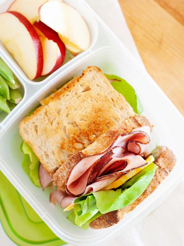 Best of the BEST Sandwich Ideas for School Lunches